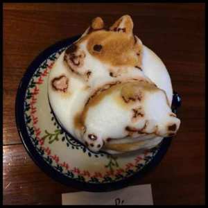 10 Really Really Realistic 3-D Latte Arts of Dogs - I almost want to ...